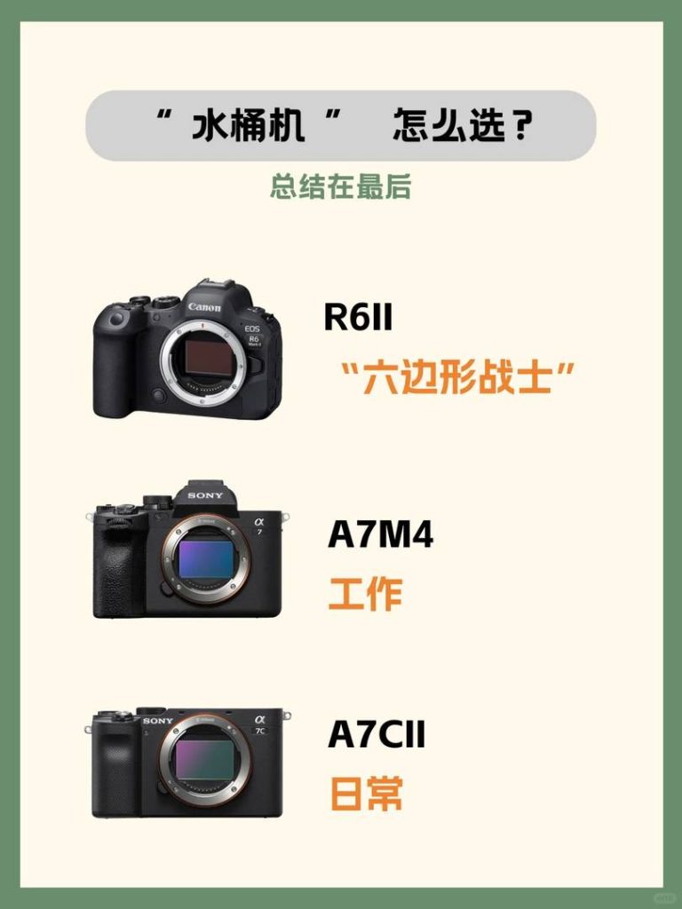 Meilleur guide global pour les appareils photo : Comparaison Sony A7M4 vs Canon R6II vs A7C2 et ...